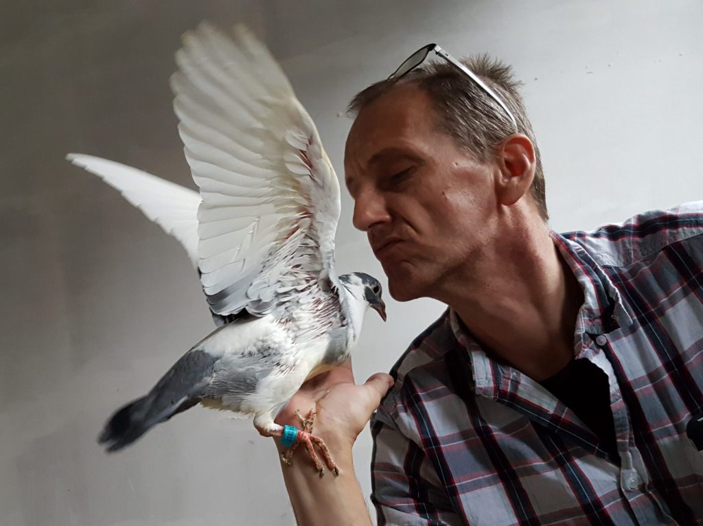 Wie ben ik – De Postduiven Koerier